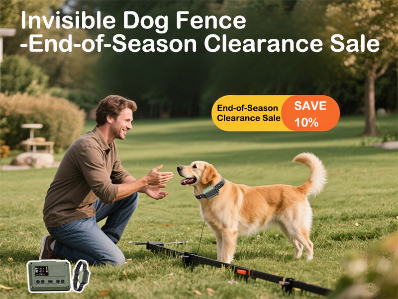 Invisible Dog Fence - End-of-Season Clearance Sale – PetHey