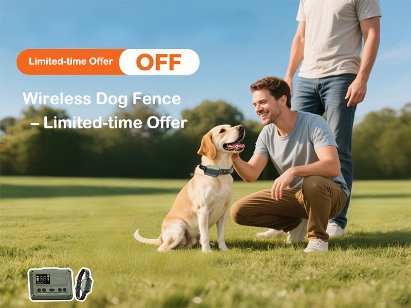 Wireless Dog Fence – Limited-time Offer – PetHey