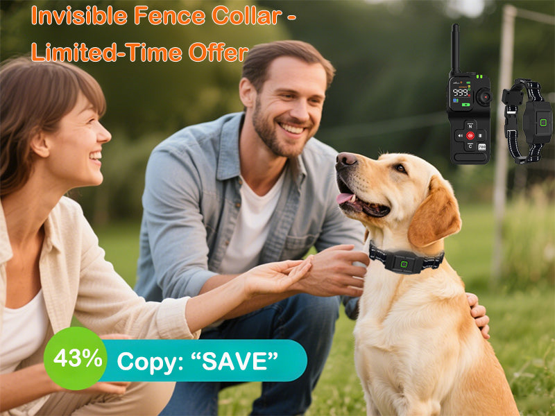 Invisible Fence Collar - Limited-Time Offer – PetHey