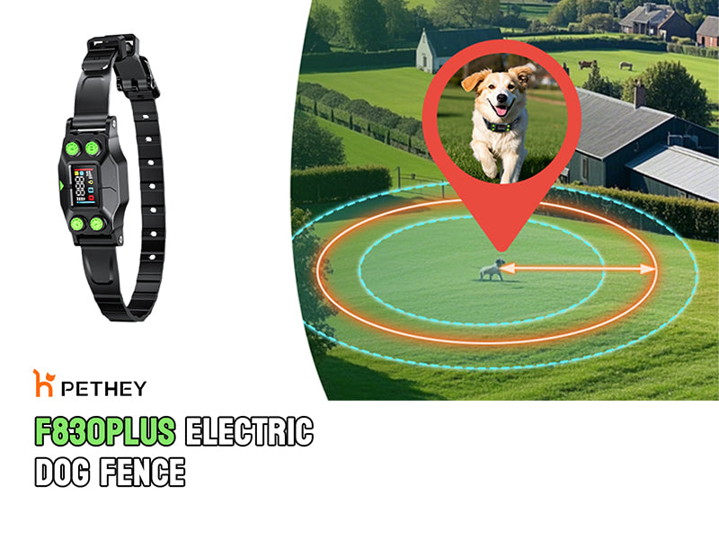 GPS Wireless Dog Fence-Wireless Dog Fence-F830Plus Wireless Dog Fence – PetHey