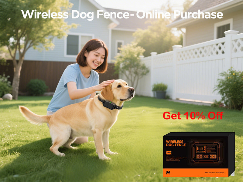 Wireless Dog Fence - Online Purchase – PetHey