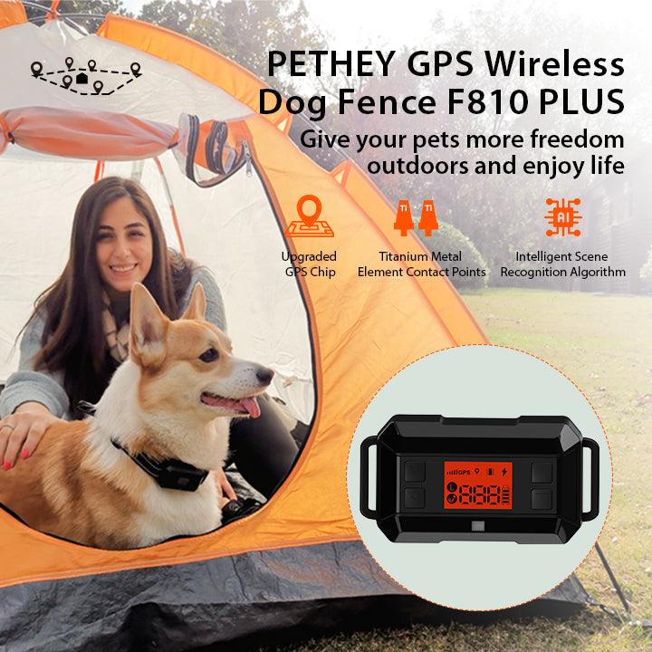 Electronic Fence|Dog Collar|Bark Control|Pet electronic equipment – PETHEY