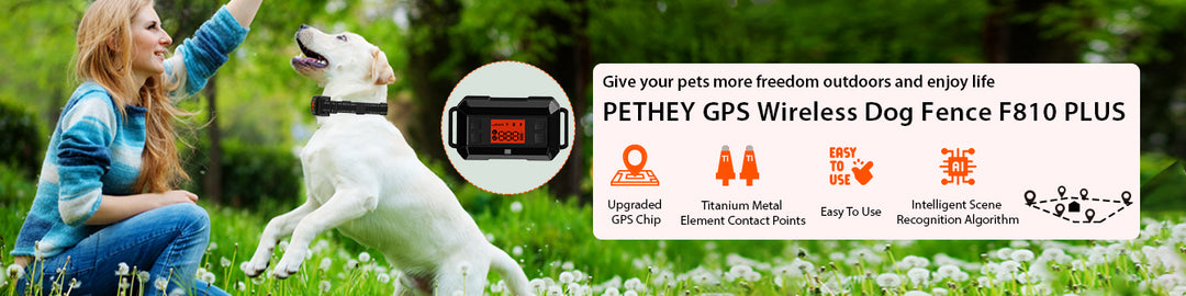 Electronic Fence|Dog Collar|Bark Control|Pet electronic equipment – PETHEY