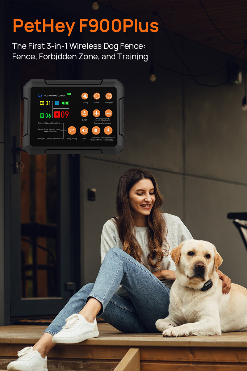 PetHey Collar | Most Accurate GPS Wireless Dog Fences